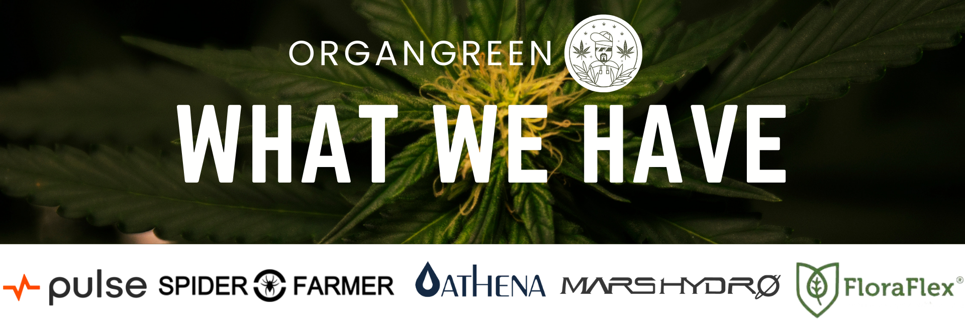 หน้าแรก - Organgreen