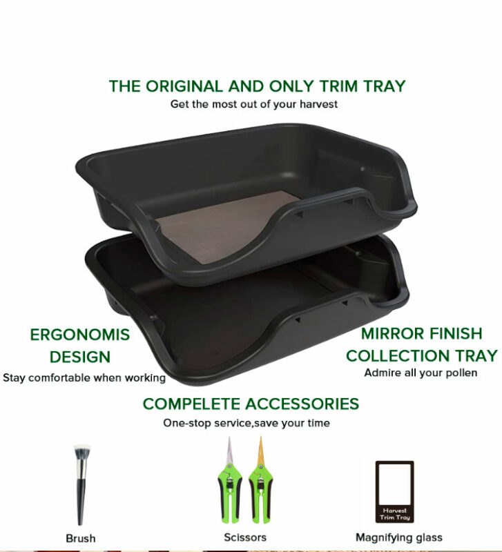 Trimming Tray Set | ถาดทริม - Organgreen